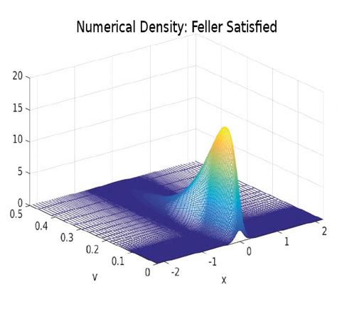 A Finite Volume Scheme For Calibrating Stochastic Nag