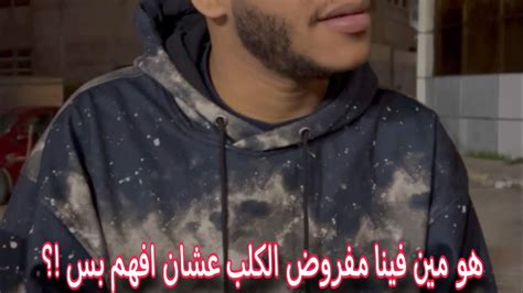 الكلاب البلدي Youtube