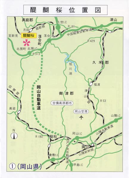 醍醐桜情報 地図駐車場