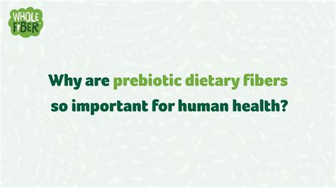 Why Are Prebiotic Dietary Fibers So Important For Human Health