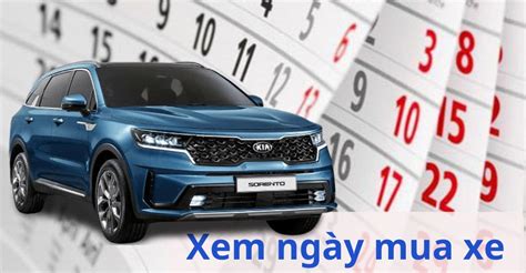 Tuổi Mão Mua Xe Ngày Nào Tốt Nhất Rước Lộc Vào Nhà