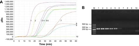 Sensitivity Of Lamp Method Compared With Pcr Notes Detection Limit Of