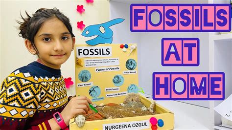 Science Project About Fossils How We Can Make Fossils At Home Fossil Seashells Science