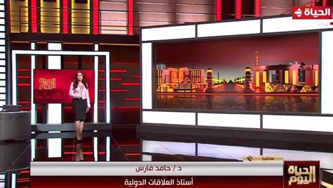 أستاذ علاقات دولية مصر حائط الصد الأول في الدفاع عن القضية الفلسطينية