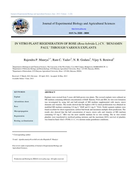 Pdf In Vitro Plant Regeneration Of Rose Rosa Hybrida L Cv