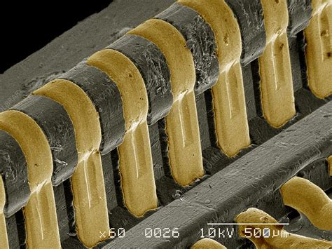 Cell Phone Circuitry SEM Stock Image F011 8222 Science Photo Library