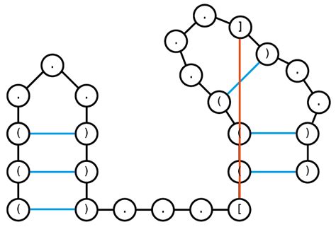 Exercise Sheet 11 Rna Bioinformatics