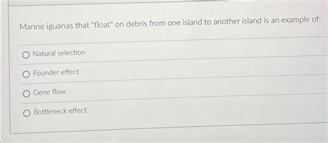 Solved Marine Iguanas That Float On Debris From One Island Chegg