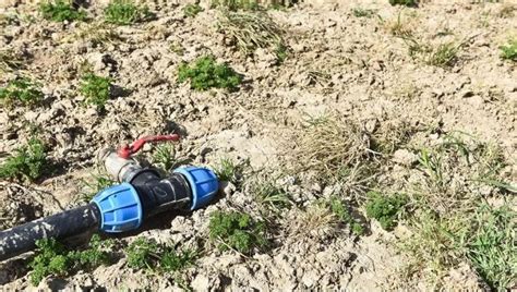 Sécheresse dans la Loire l alerte étendue les Monts du Forez passent en alerte renforcée ici