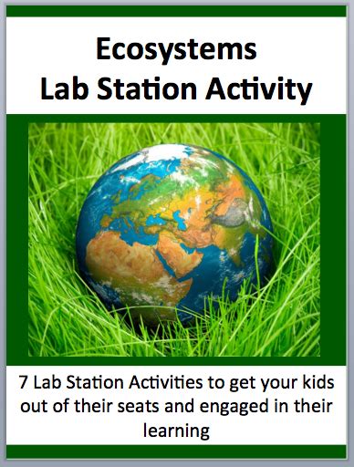 Here S Your Science Lab Station Activity Teach With Fergy