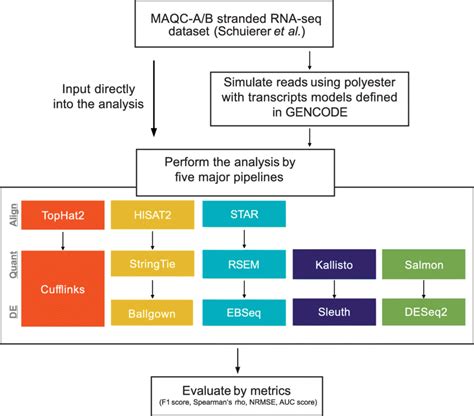 Overview Of The Evaluation In This Study We Evaluated The Impact Of