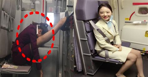 이건 진짜 비밀인데7년차 승무원이 폭로한 비행 중 승무원이 쉬는 방법 여행톡톡