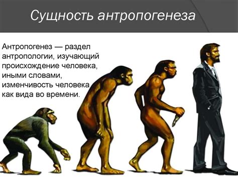 Биологические и социальные факторы антропогенеза презентация онлайн