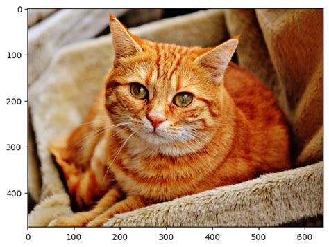Nvimagecodec Examples — Nvimagecodec
