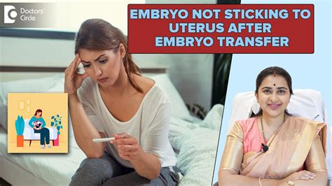 Ivf Why Embryos Dont Stick To Uterus After Embryo Transfer Dr