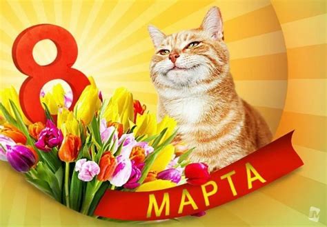 Кот и 8 марта открытки картинки и фото Koshka Top