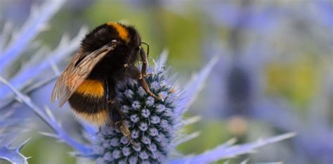 Reducing Apache Memory Usage And Average Process Size Value Trendradars