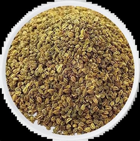 Indian Celery Seeds Exports Vora Spices