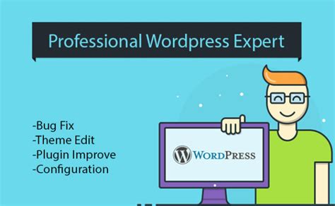 Be Your Wordpress Developer And Bug Fixer By Stenrdj Fiverr