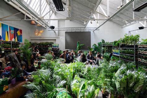 La plus Grande vente de Plantes à 2 de Marseille Le Bonbon