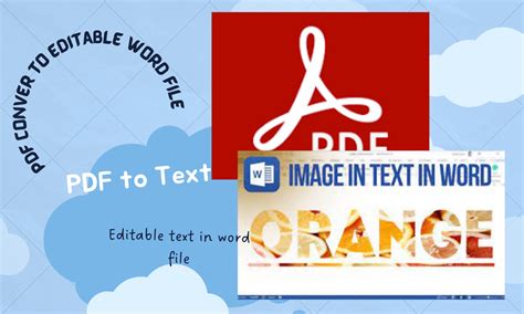 PDF Image To Editable Word File Convert AnyTask
