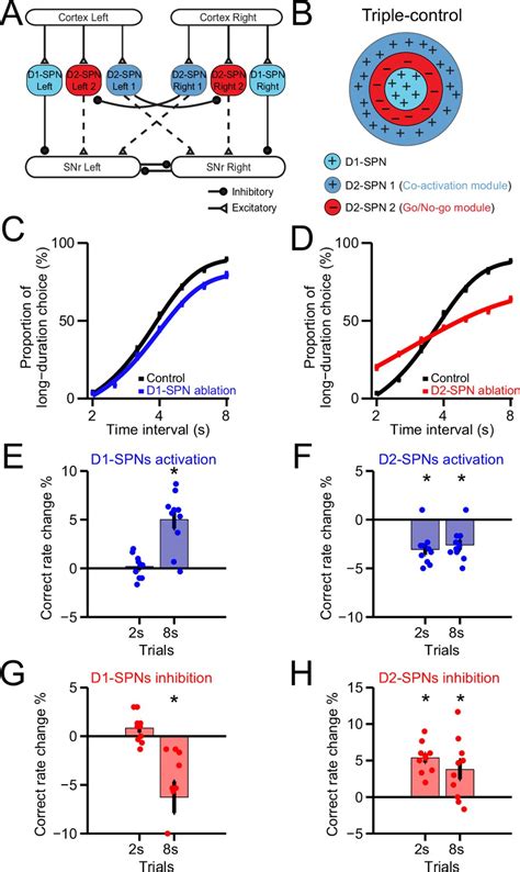 Multiple Dynamic Interactions From Basal Ganglia Direct And Indirect Pathways Mediate Action