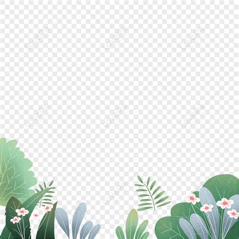 16 Aesthetic Plants Png Dalipcopelyn