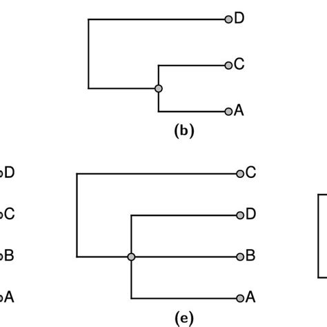 an example of three input trees shown in a b and c which do not