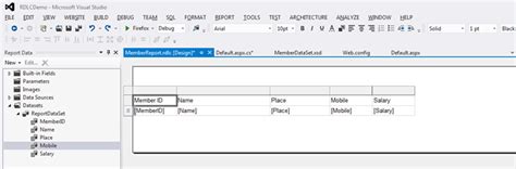 Working On RDLC Report In C