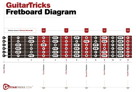 Guitar Fretboard Chart Fileguitar Fretboard Diagram Octaves Cpng