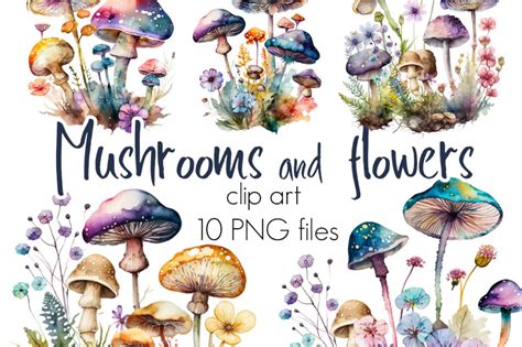 Mushrooms And Flowers Clipart Graphic By Tanya Kart · Creative Fabrica