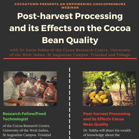 Post Harvest Processing And Its Effects On Cocoa Bean Quality Cocoatown