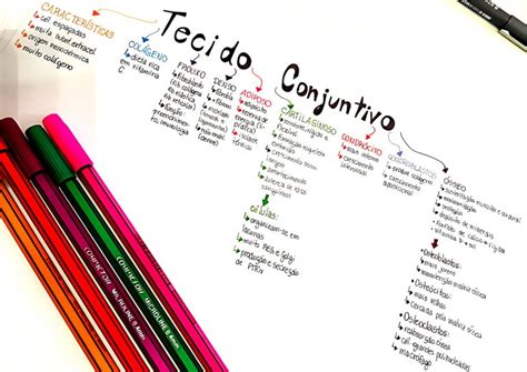 MAPA MENTAL SOBRE TECIDO CONJUNTIVO Maps4Study
