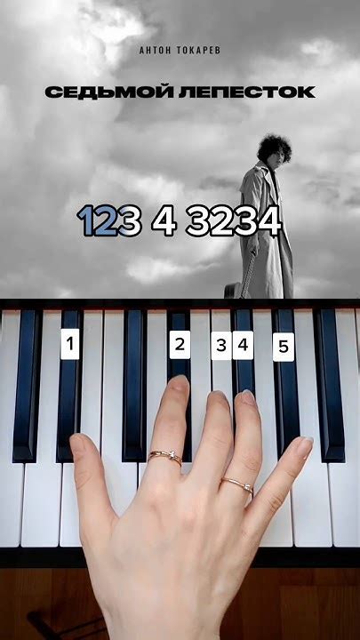 Седьмой Лепесток Антон Токарев Tutorial Piano Shorts Piano Trending Tutorial Music