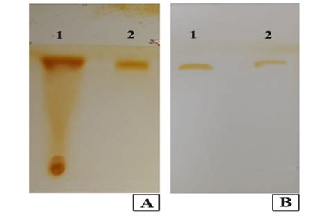 Isolation Characterization Of Neoandrographolide From Andrographis