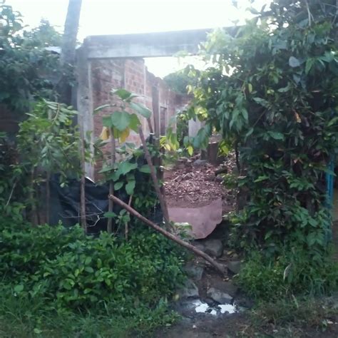 Capturan A Cuatro Peligrosos Pandilleros Que Se Escondían En Una Casa