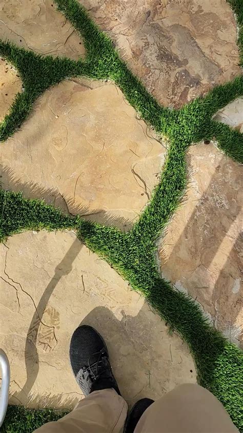 Front Yard In Manhattan Beach Transformation Artificial Turf