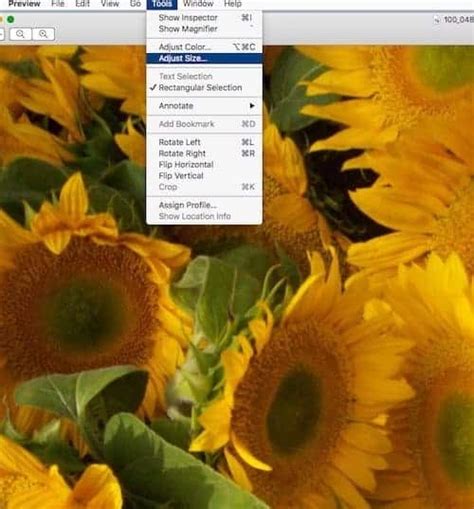 How To Resize Images On A Mac Using Preview