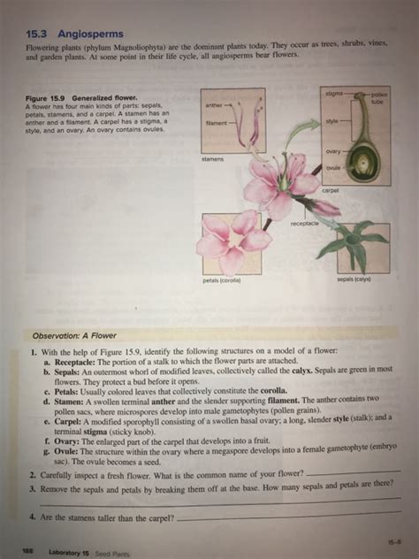 Solved May You Please Help Me With A Short Answers Please Chegg Com