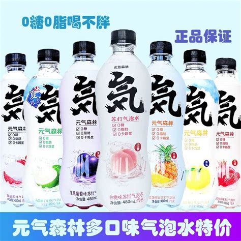 【1箱 X 15瓶装】元气森林 苏打气泡水0糖0脂0卡饮料480ml 白桃夏黑葡萄卡曼橘荔枝可乐柠檬青瓜味 Genki Forest 元気森林