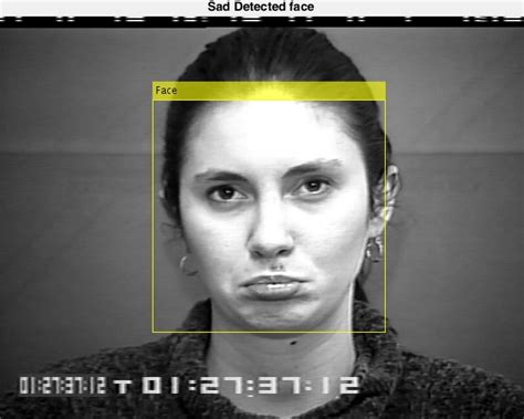 Emotion Detection Through Facial Feature Analysis