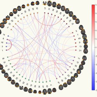 The Circular Plots Showing Important Features For Predicting Currently