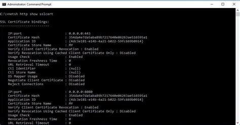 Iis Client Certificate Revocation Check Disable