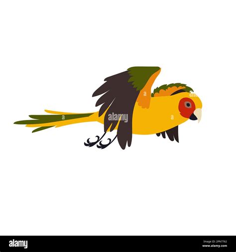 Exotic Parrot Flying Vector Illustration Stock Vector Image And Art Alamy