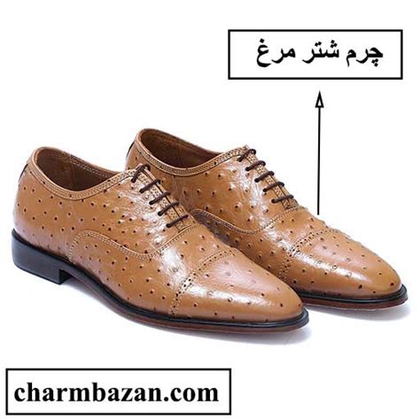 چرم کدام حیوان بهتر است؟ چرم بازان