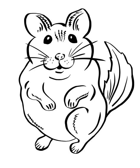 Cute Funny Chinchilla For Stickers Hand Drawn Rodent Mouse Hamster