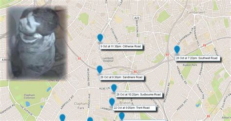 Clapham Sex Attacks Police Cctv Appeal After Eight Women Assaulted In