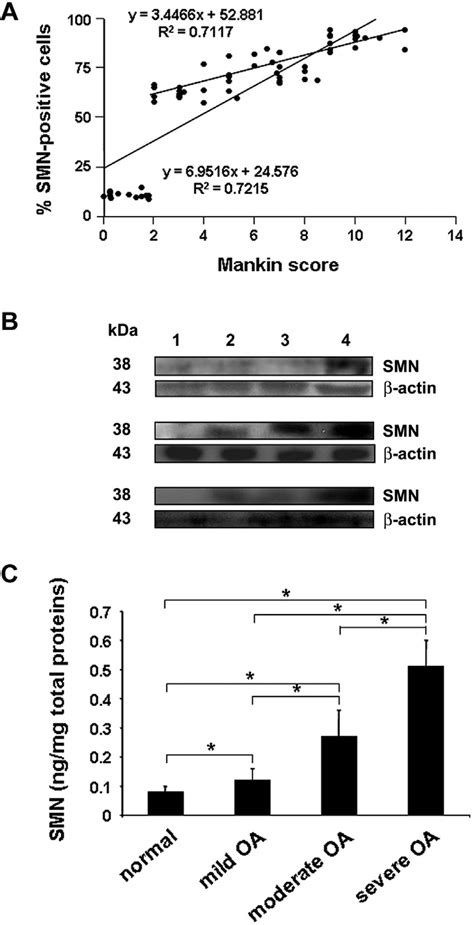 Correlation And Biochemical Analysis A All Individual Values Of Fig Download Scientific