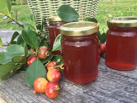 Cherry Guava Jelly Seasons With Sheridan