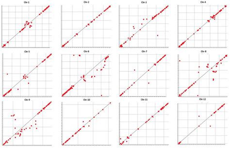 Collinearity Between Genetic Vertical Axis And Physical Maps